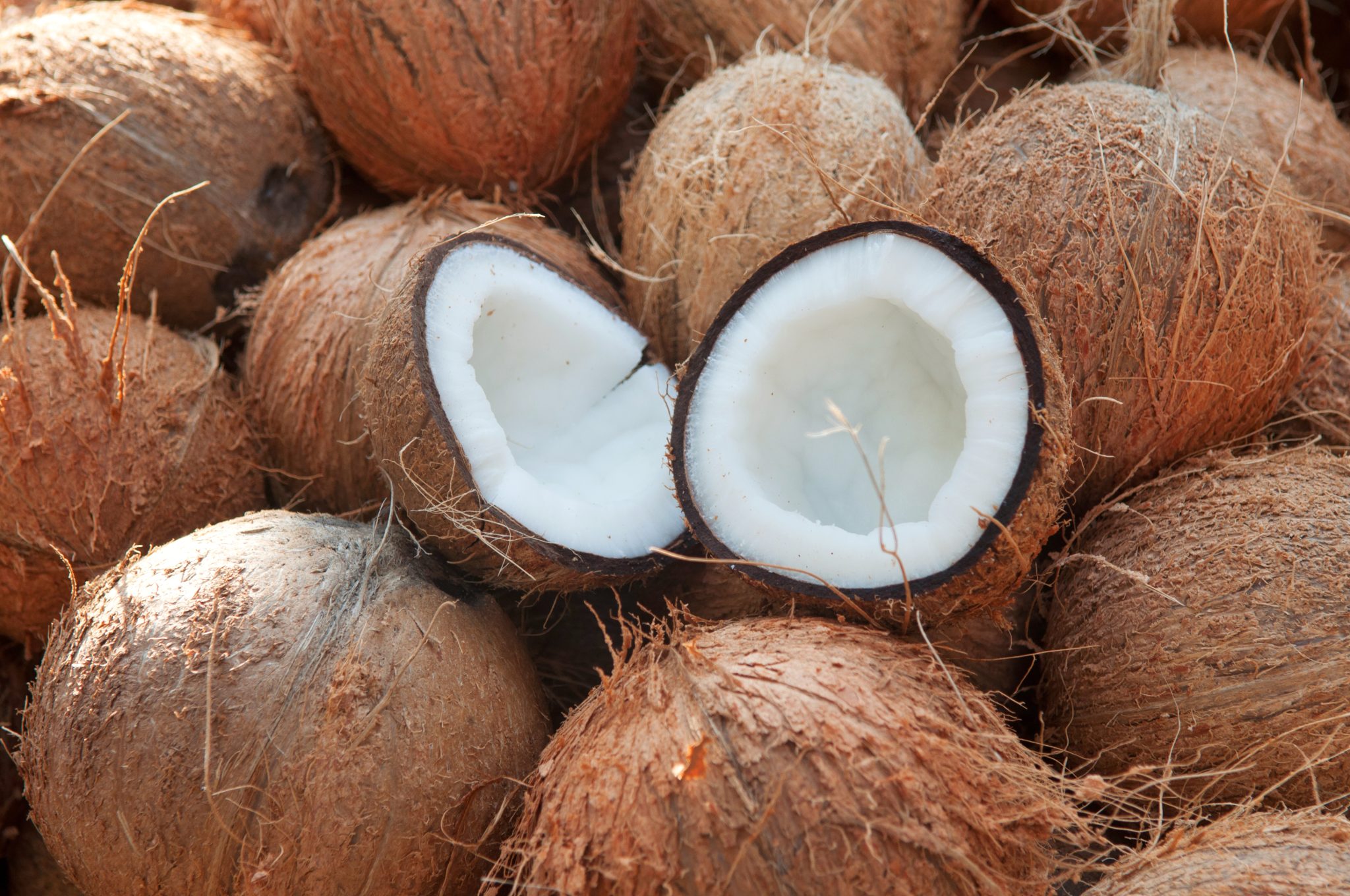 Everything You Need To Know About Coconuts | Exotic Gourmand