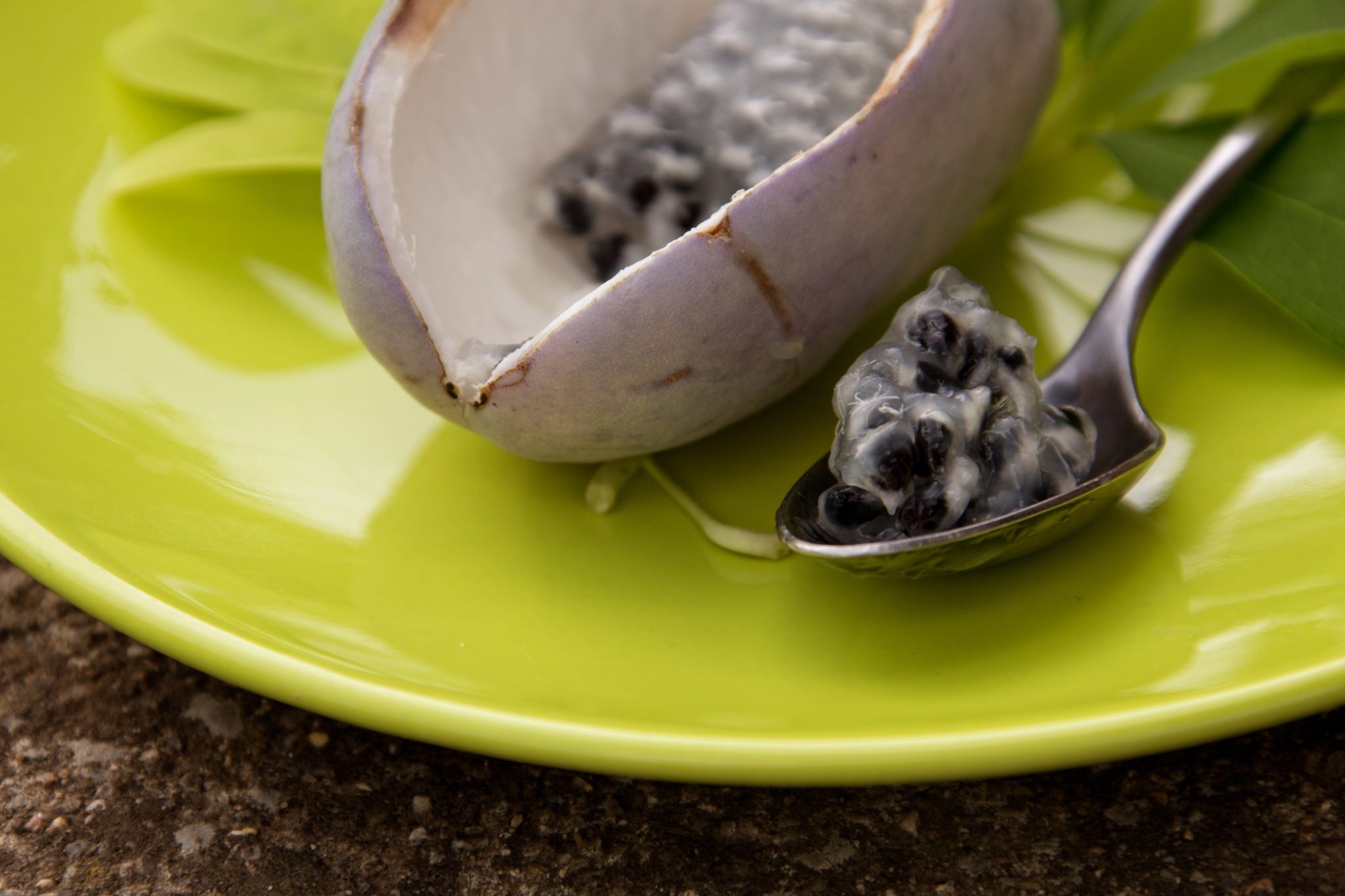 Akebi: Japan's Mysterious Purple Fruit | Exotic Gourmand