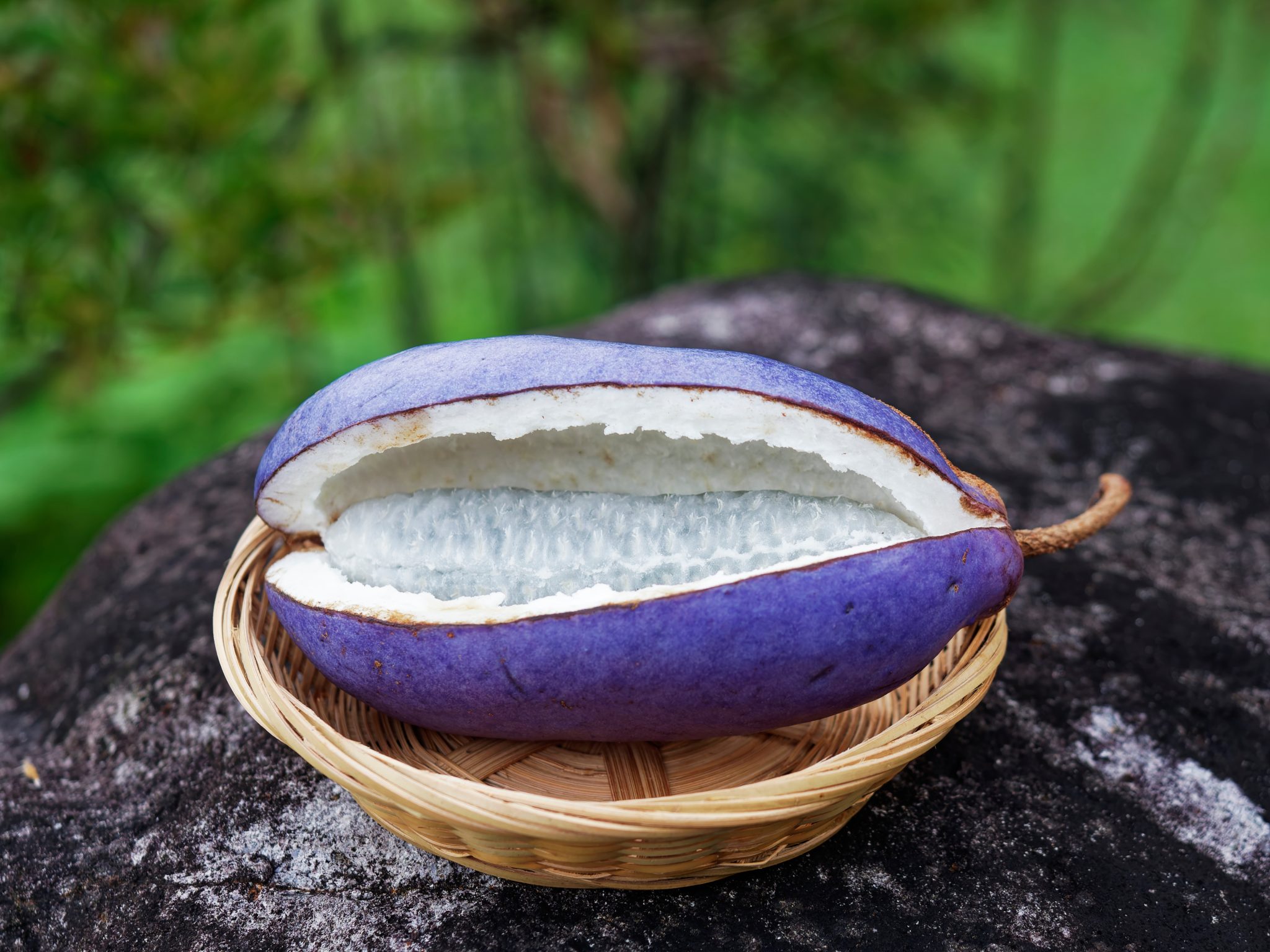 Akebi: Japan's Mysterious Purple Fruit | Exotic Gourmand