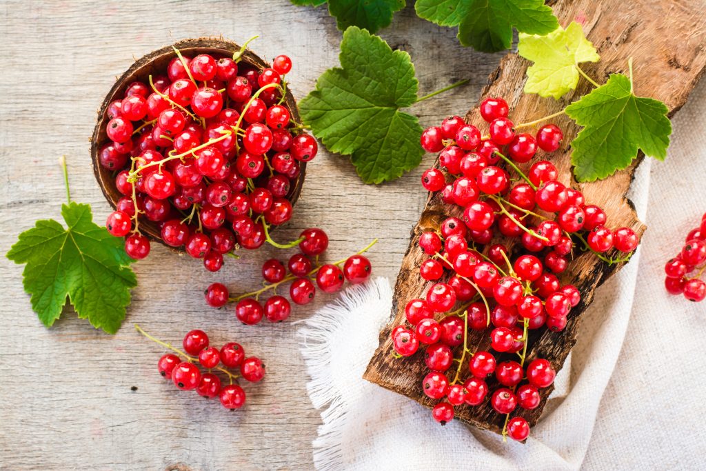 Red Currant: The Nutrient-Rich Tart Berries