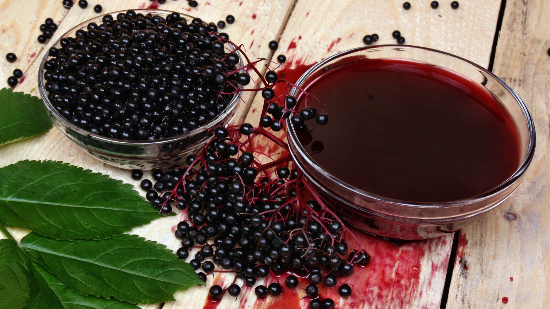 Everything You Need To Know About Elderberries