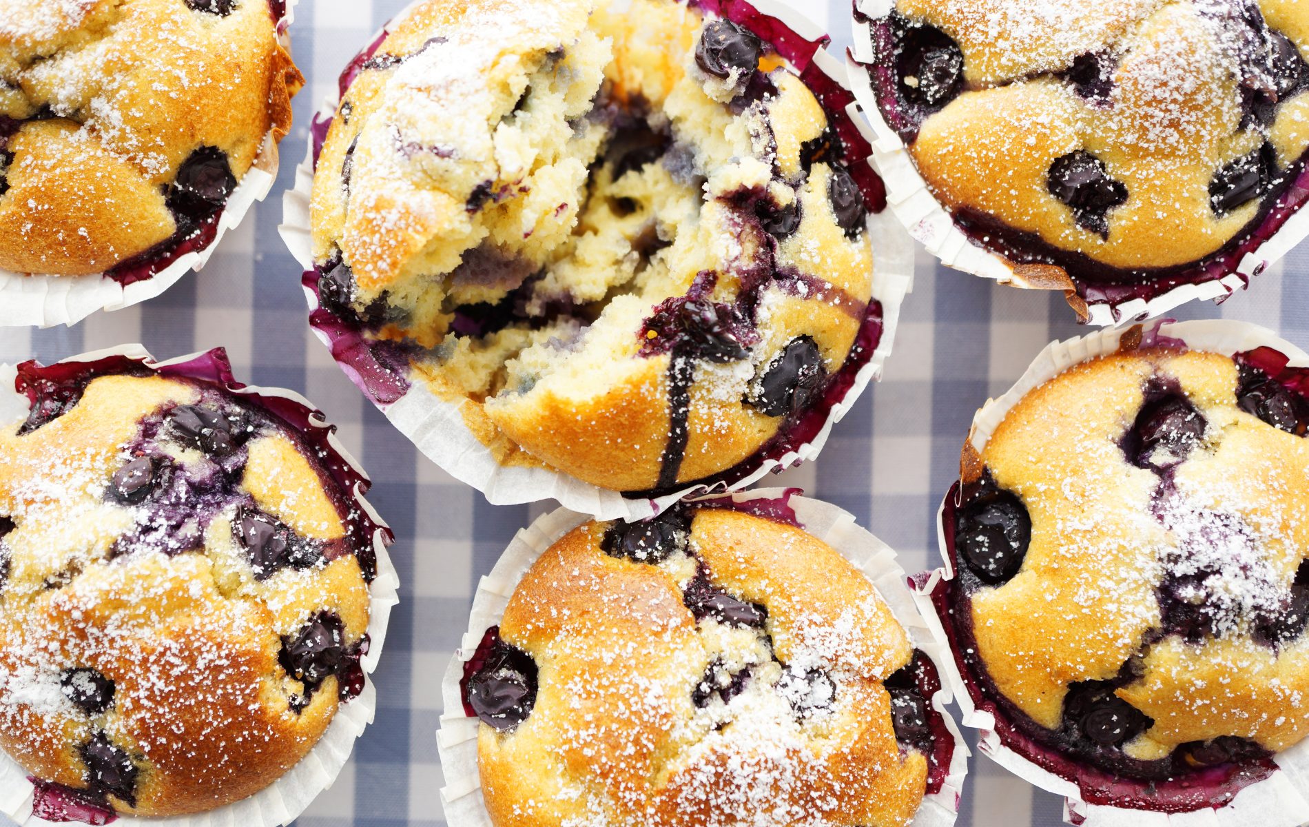 What Are Bilberries? | Exotic Gourmand