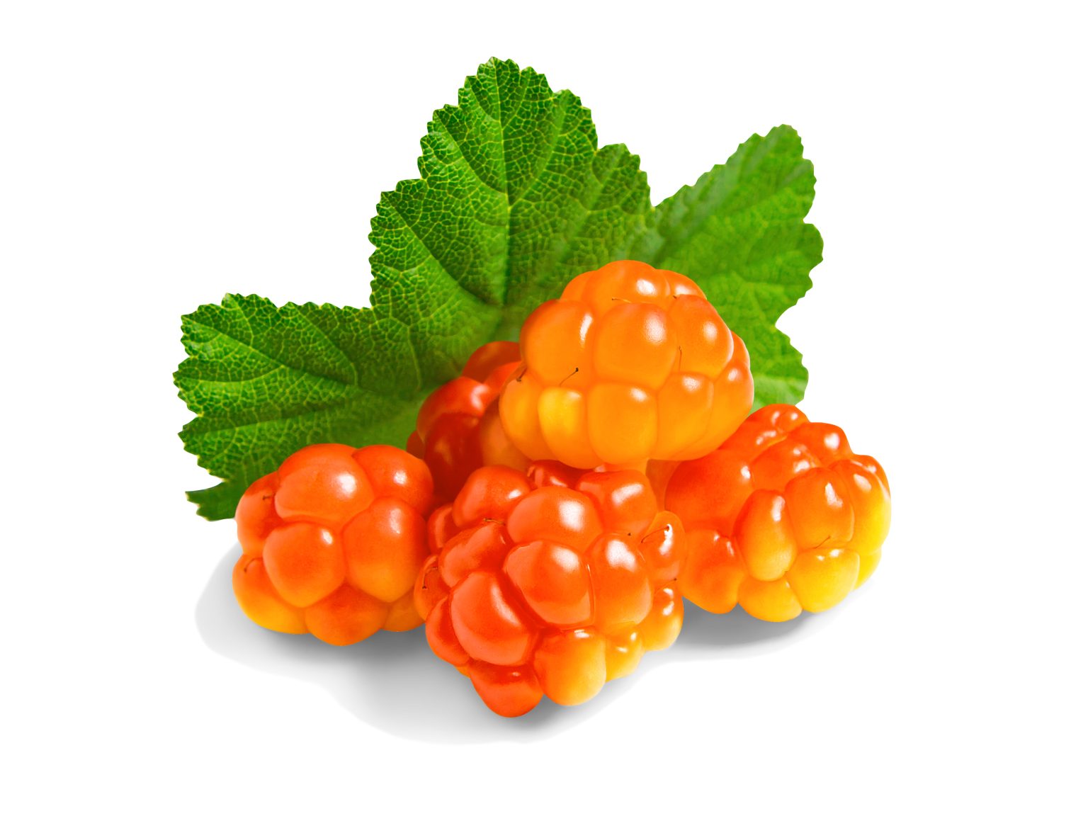 Cloudberries: A Rare Fruit Fit For A Viking