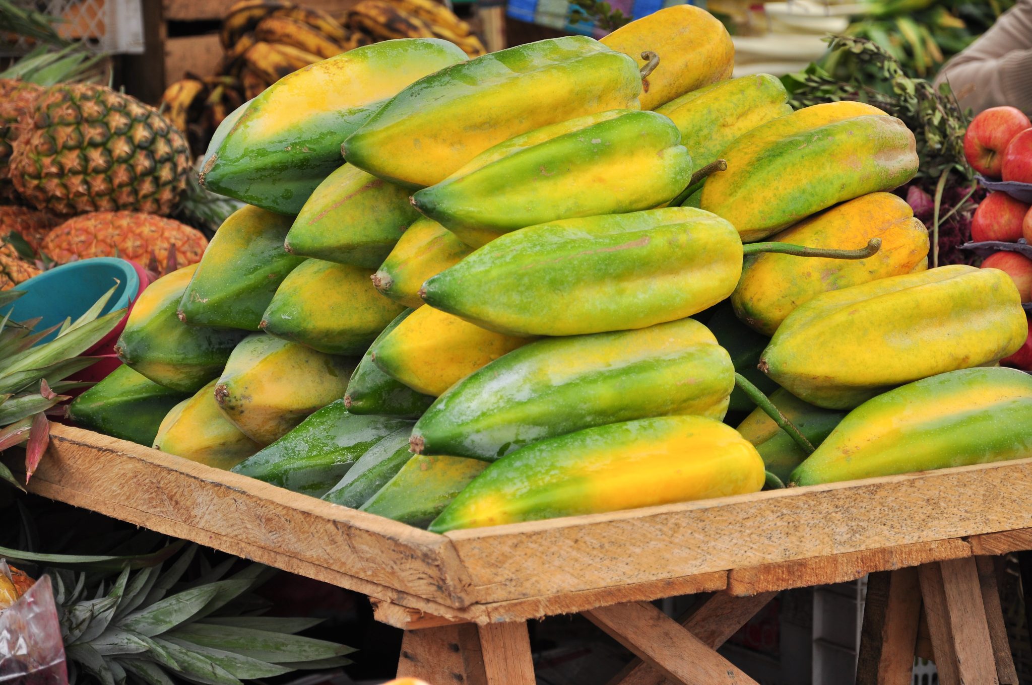 Babaco: The Mountain Papaya Of Central America