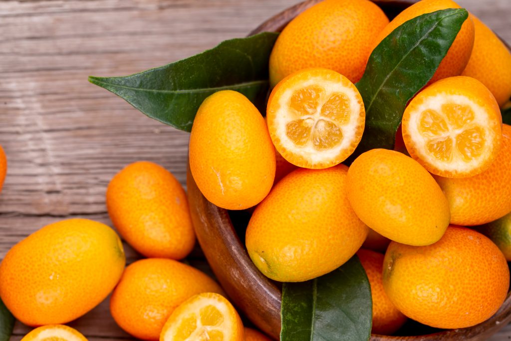 Kumquats: The Bite-Sized Citrus Fruit | Exotic Gourmand