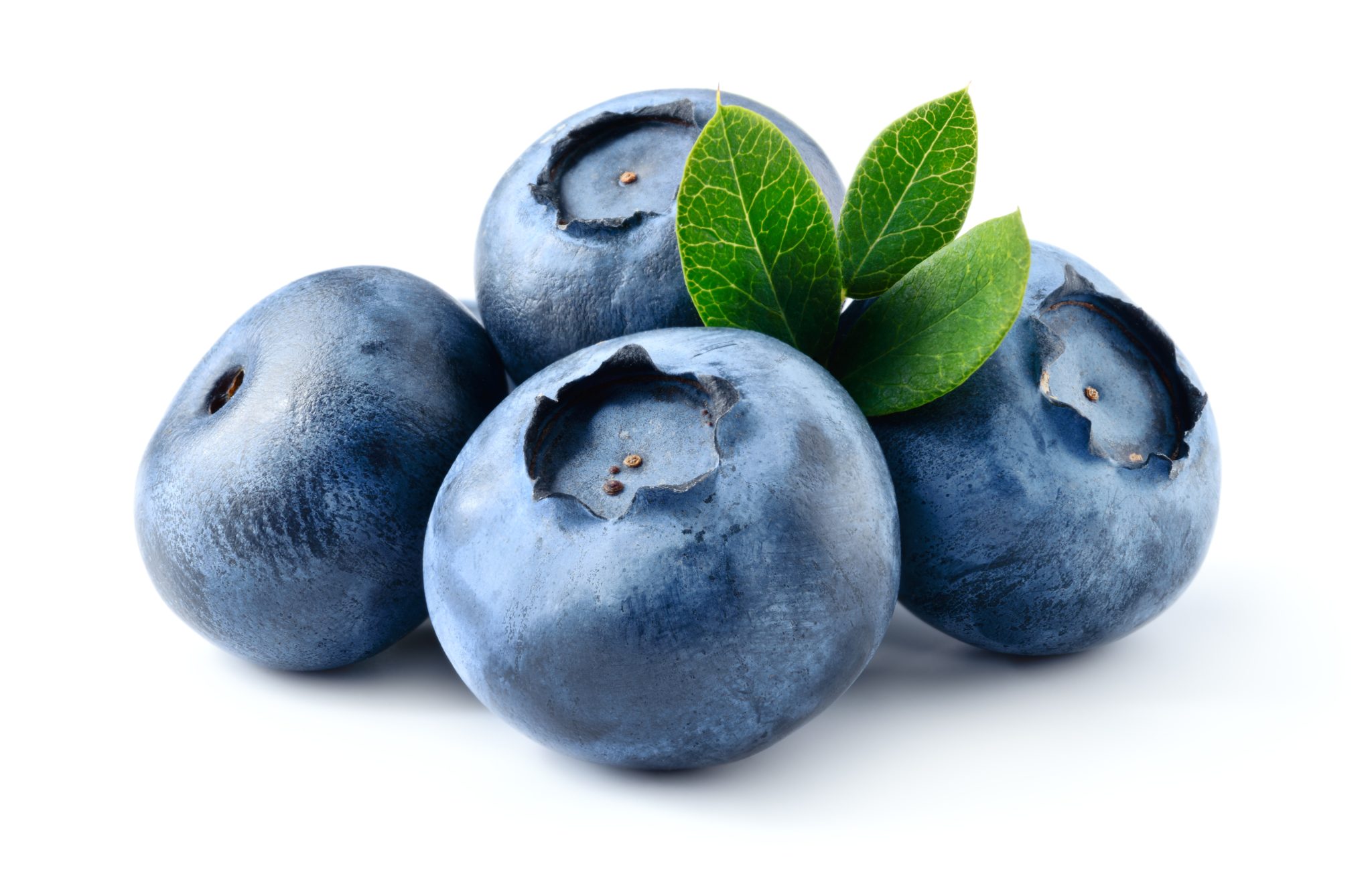 What Are Bilberries? | Exotic Gourmand