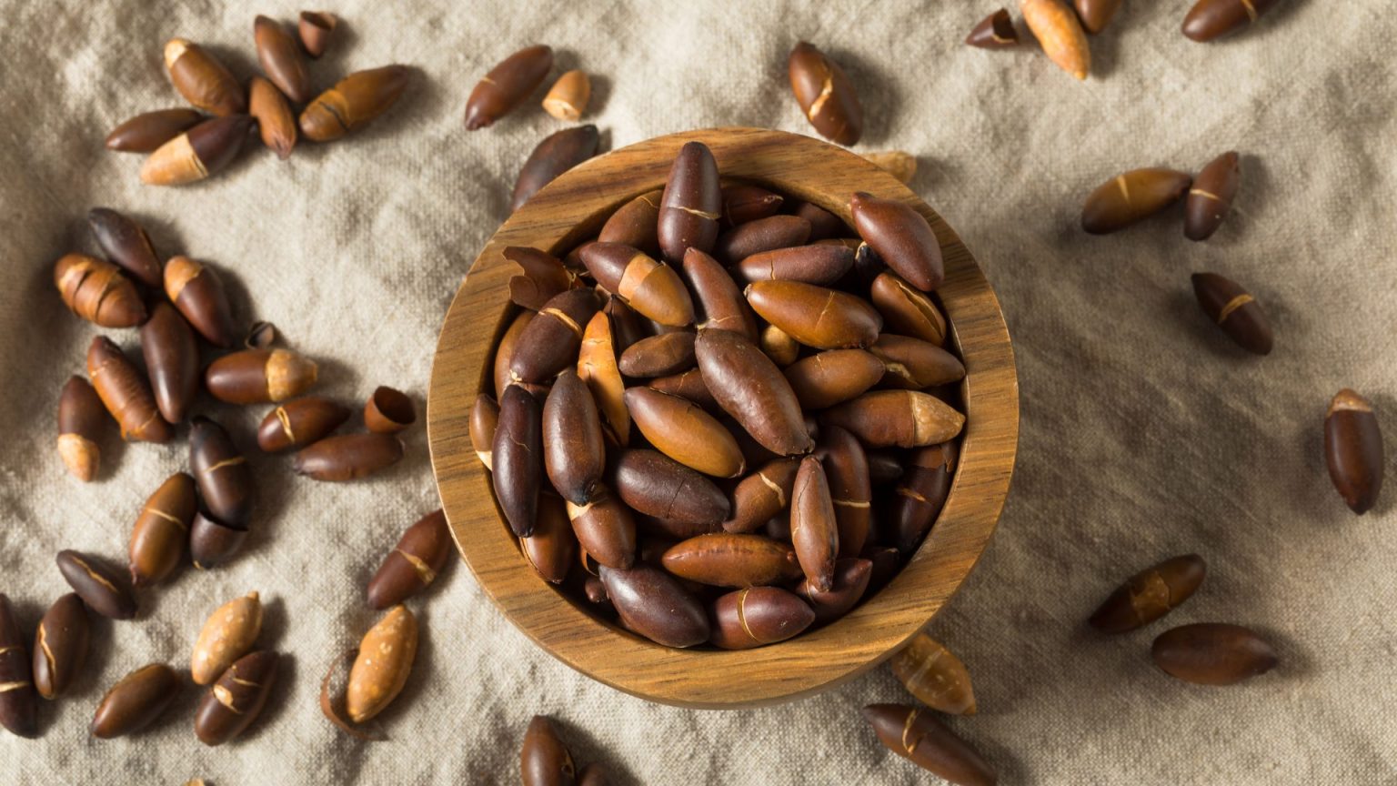 Baru Nuts: The Popular New Superfruit | Exotic Gourmand