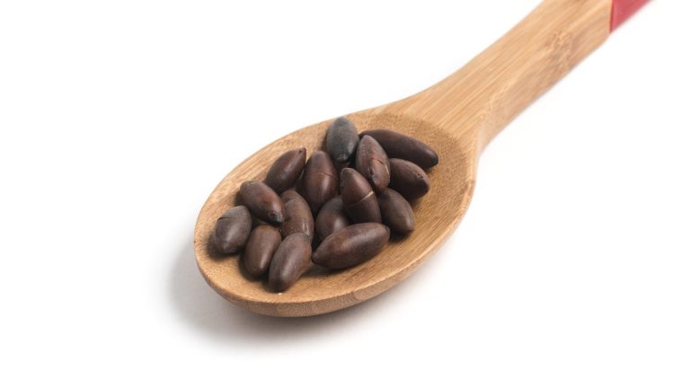 Baru Nuts: The Popular New Superfruit | Exotic Gourmand