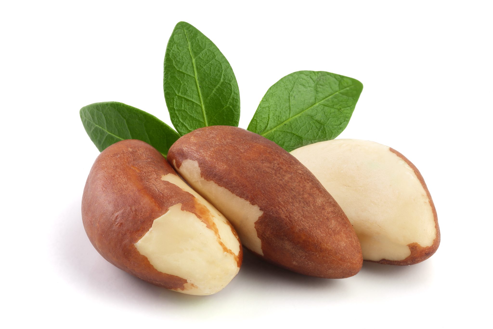 Baru Nuts: The Popular New Superfruit | Exotic Gourmand