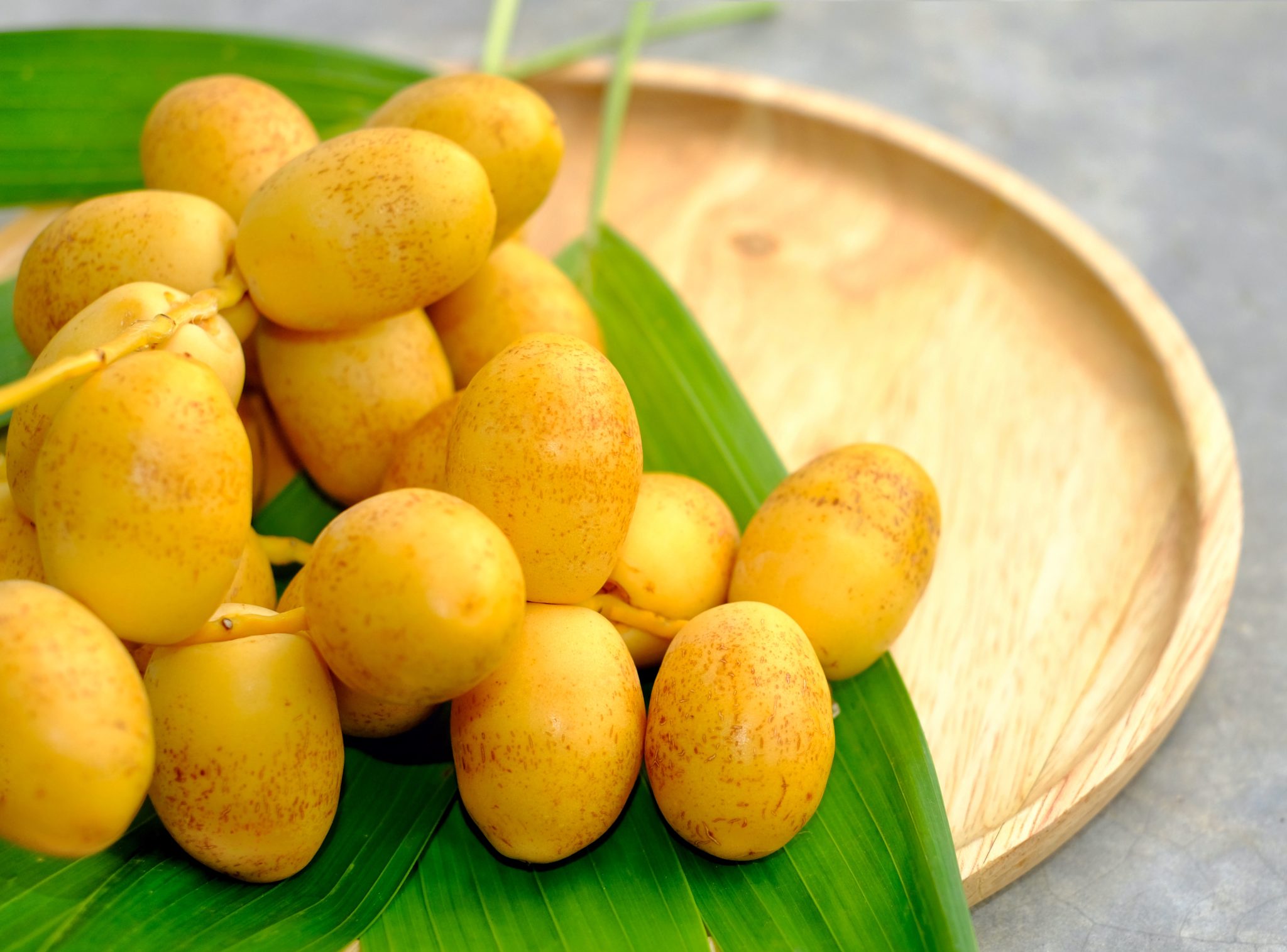 Barhi Dates: The Rich, Caramel-Flavored Iraqi Drupe