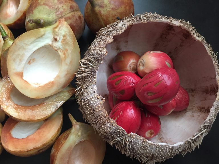 Nutmeg Fruit: More Than Just A Spice | Exotic Gourmand