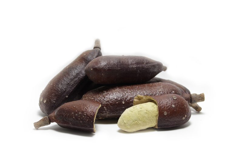Jatoba: The Stinking Toe Fruit | Exotic Gourmand