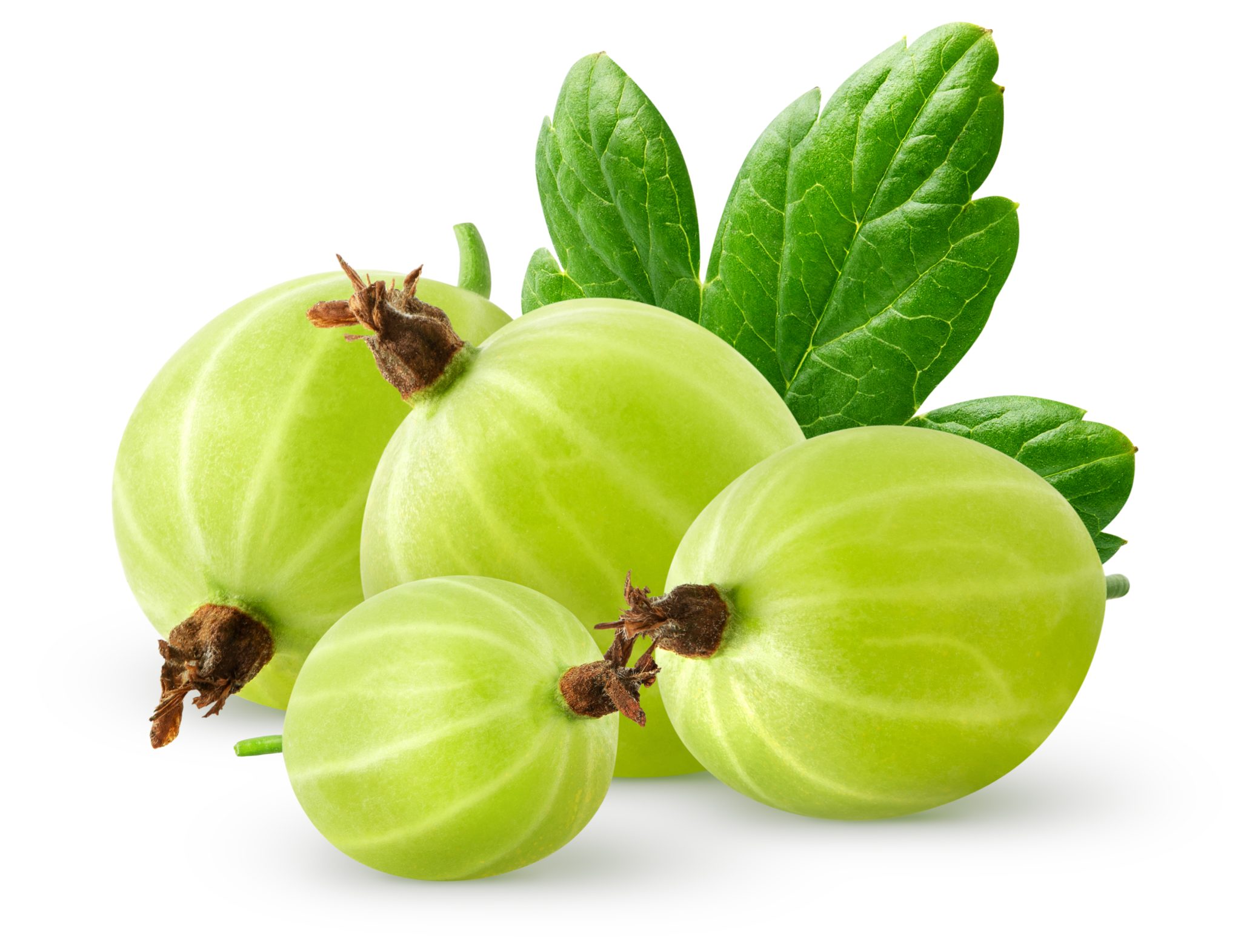 What Are Gooseberries? | Exotic Gourmand