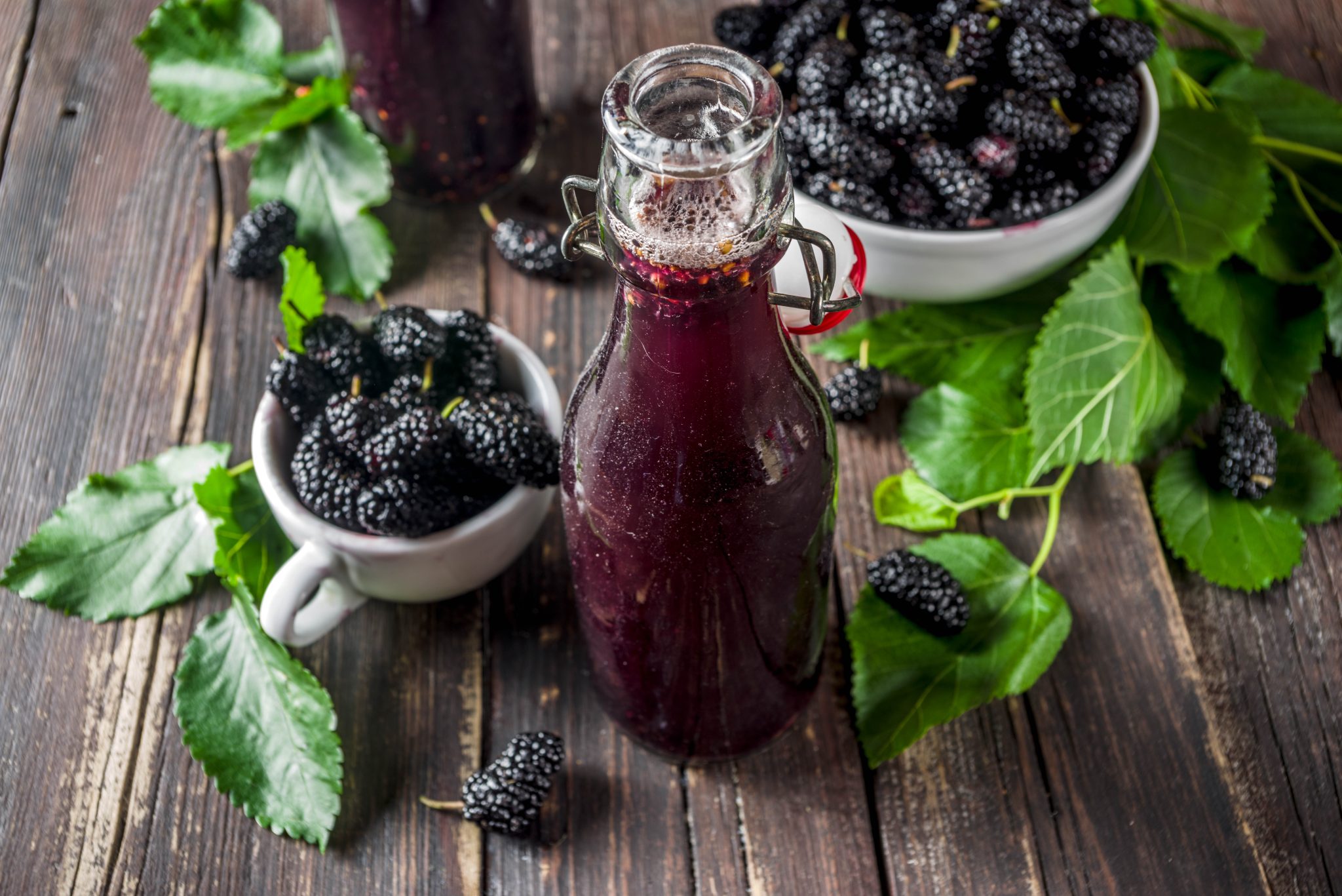 Everything You Need To Know About Mulberries