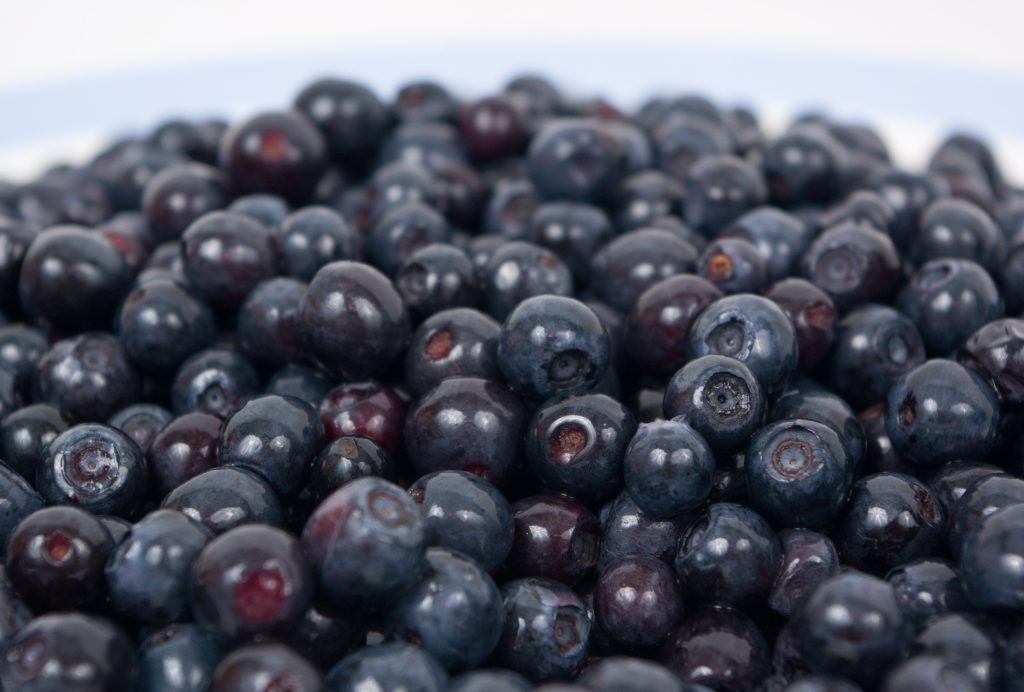 Everything You Need To Know About Farkleberries