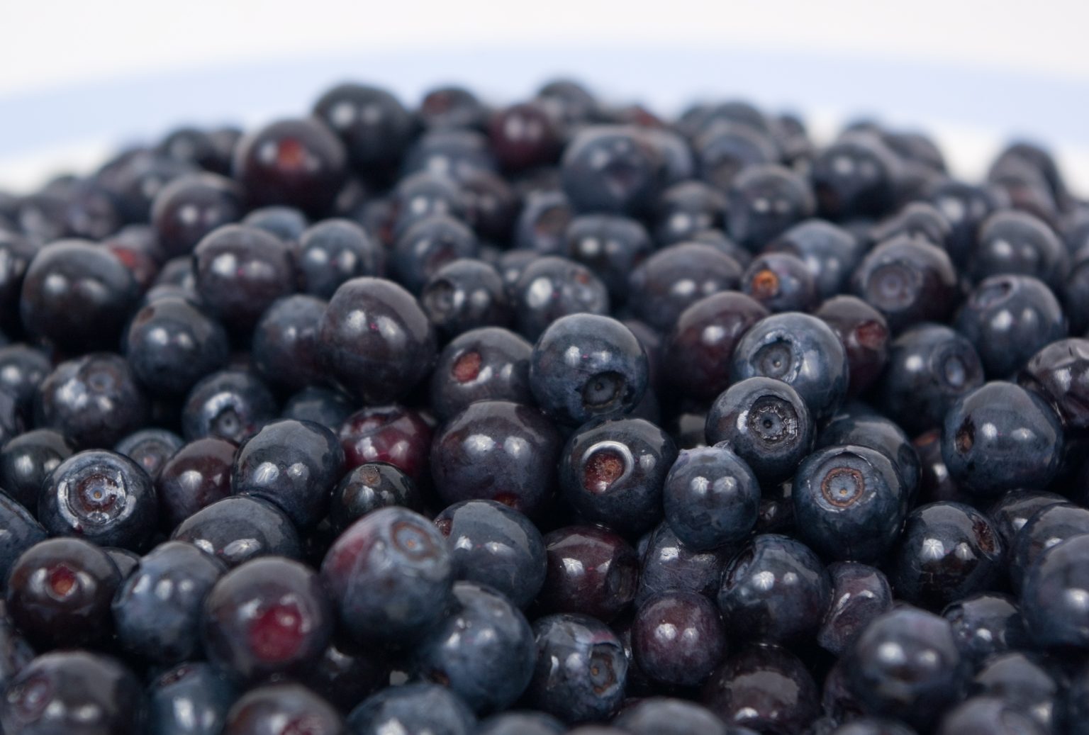 Everything You Need To Know About Farkleberries