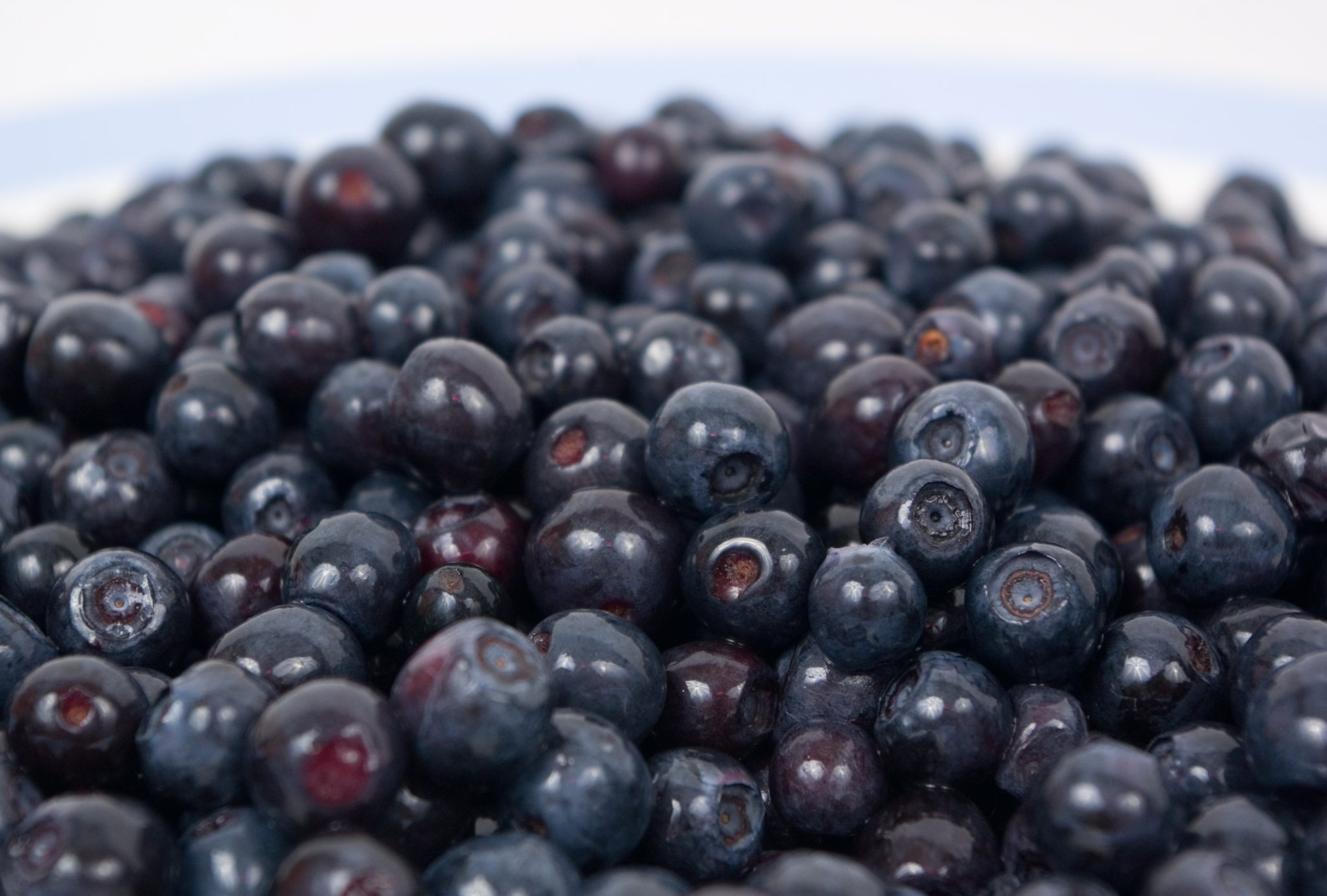 Everything You Need To Know About Farkleberries