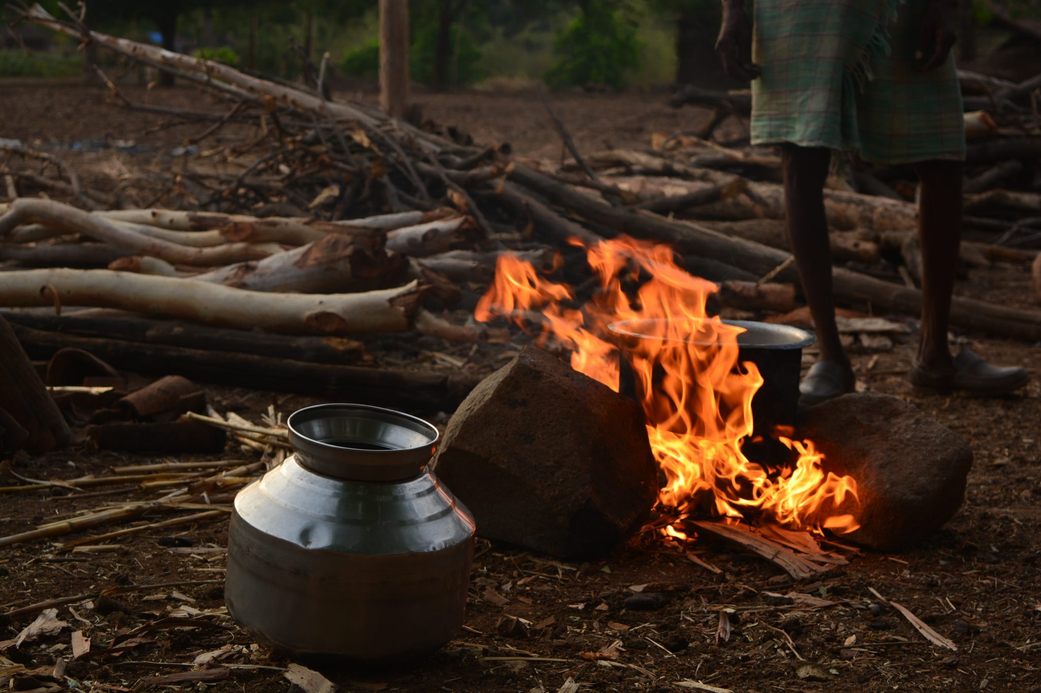 Mahua: India’s Prized Tropical Fruit | Exotic Gourmand