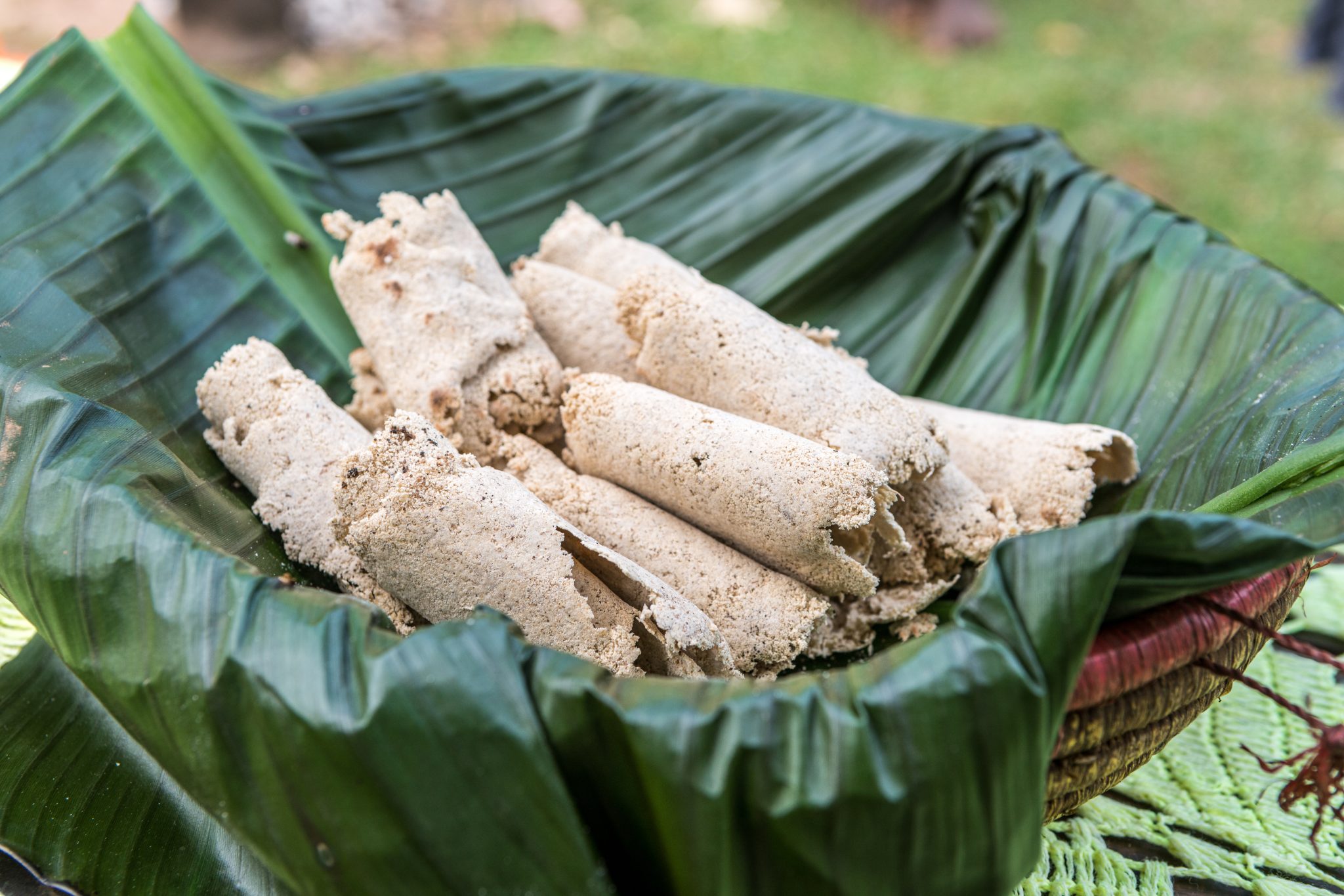 Enset: The Ethiopian False Banana | Exotic Gourmand