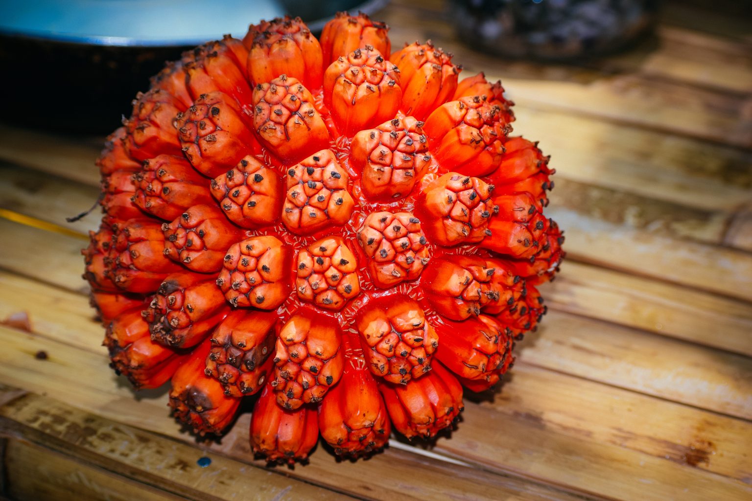 Hala Fruit: The Mysterious Fruit Of The Pacific