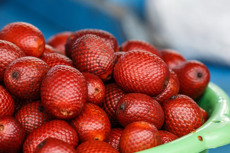 Moriche Palm Fruit: The South American “Tree Of Life” Fruit