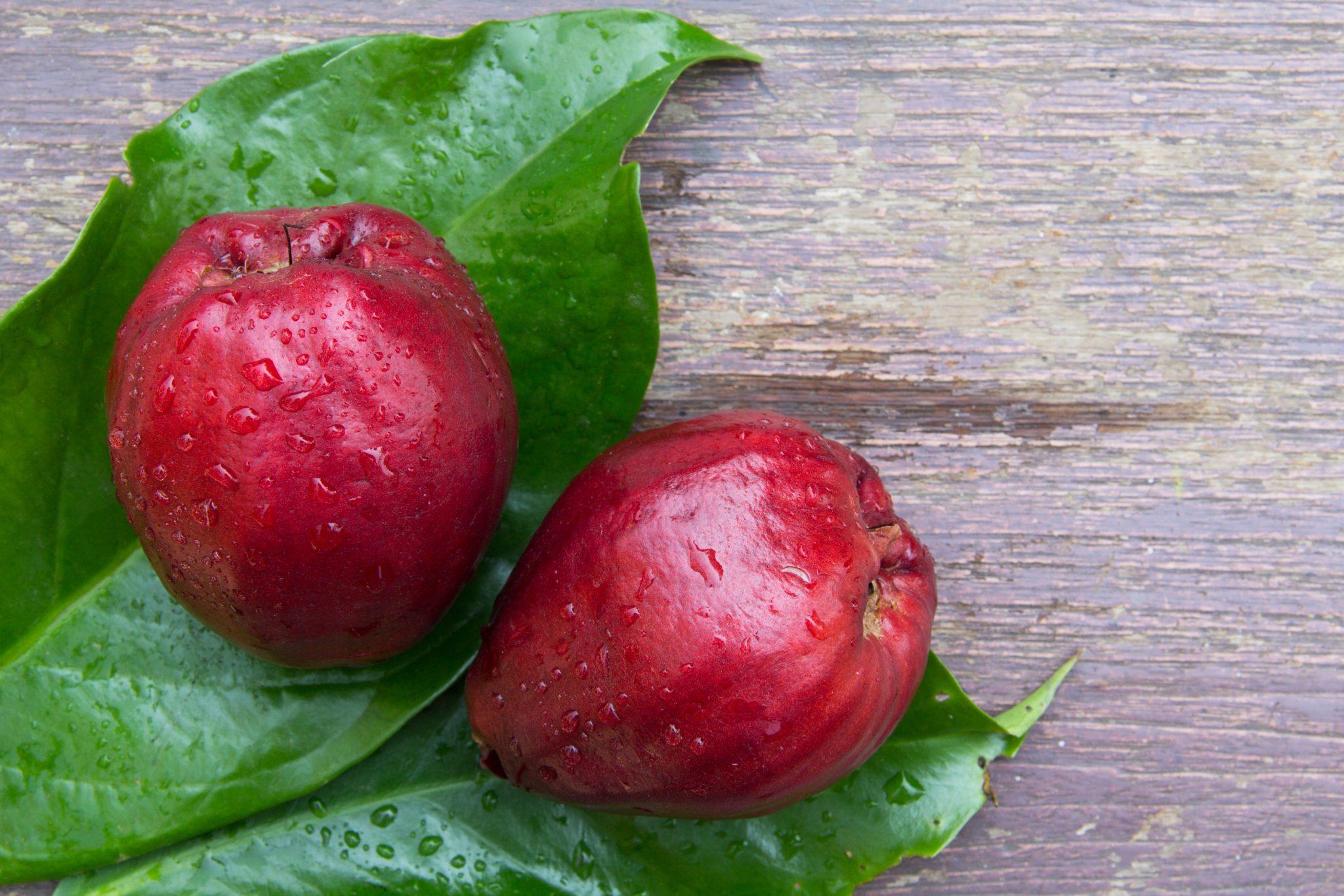 What Is A Malay Apple? | Exotic Gourmand
