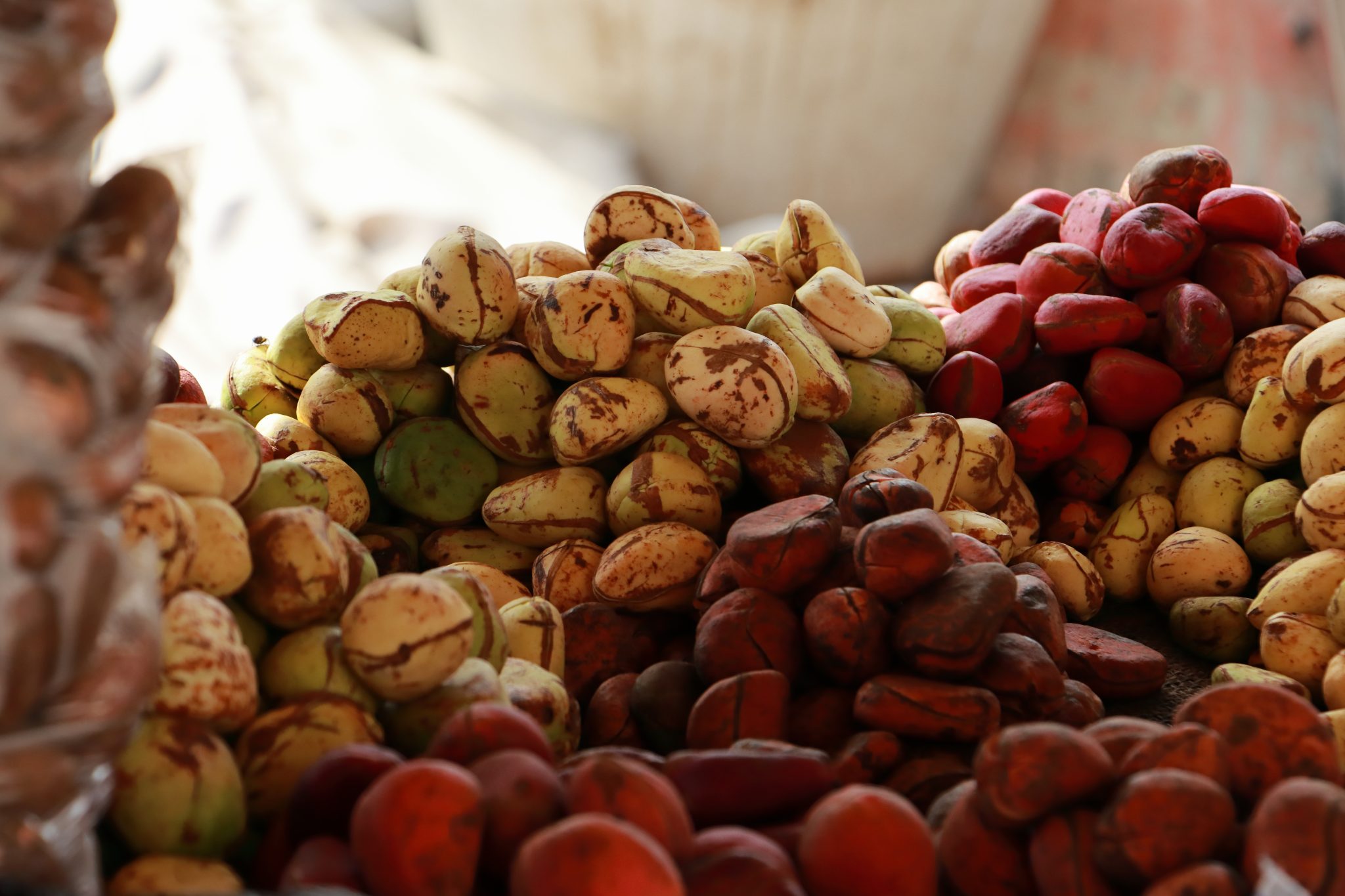 Kola Nuts: The Original Ingredient For Coca Cola