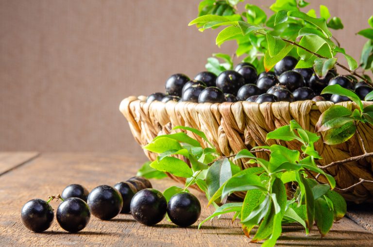 Jabuticaba: The Tree-Trunk Fruit | Exotic Gourmand