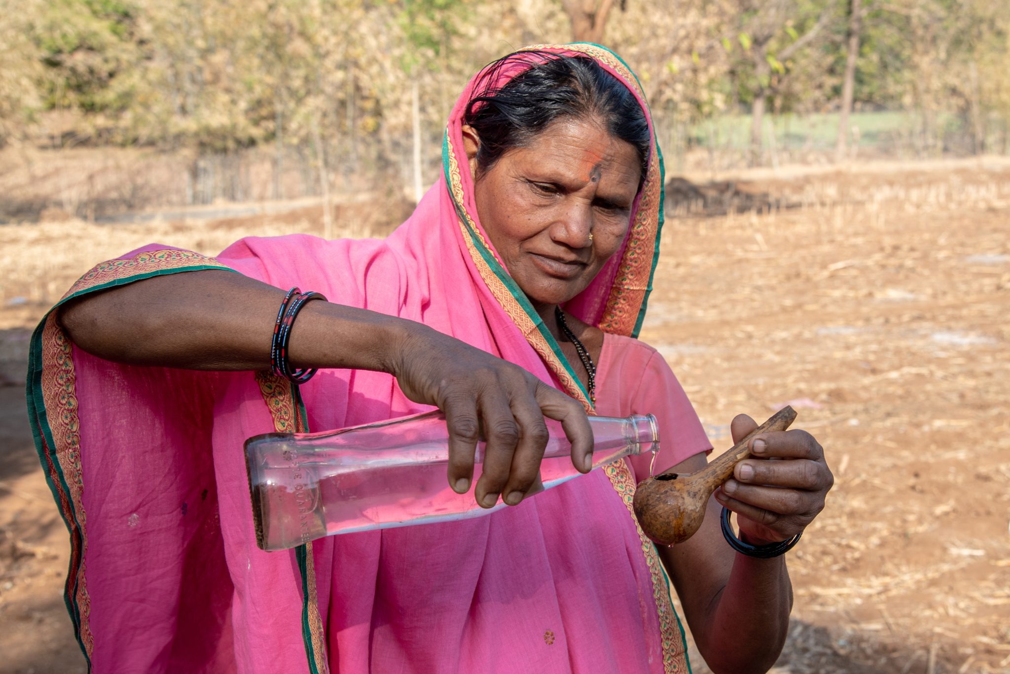 Mahua: India’s Prized Tropical Fruit | Exotic Gourmand