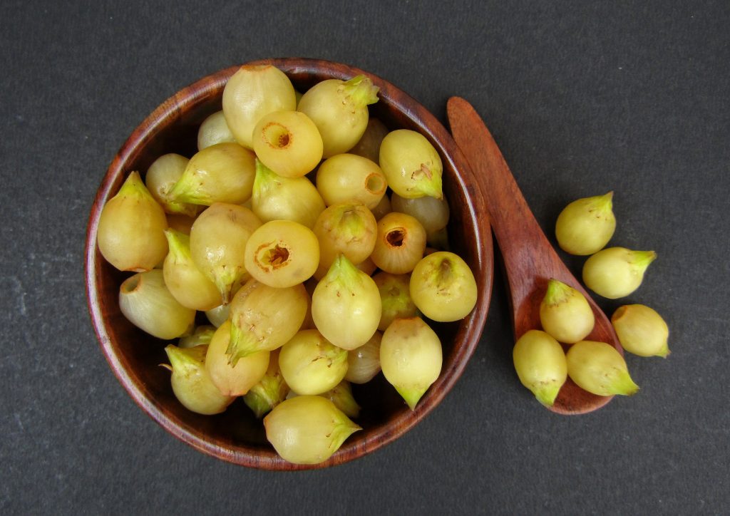 Mahua: India’s Prized Tropical Fruit | Exotic Gourmand