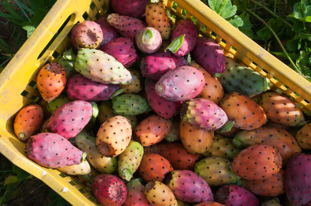 Prickly Pears: The Popular Cactus Fruit | Exotic Gourmand