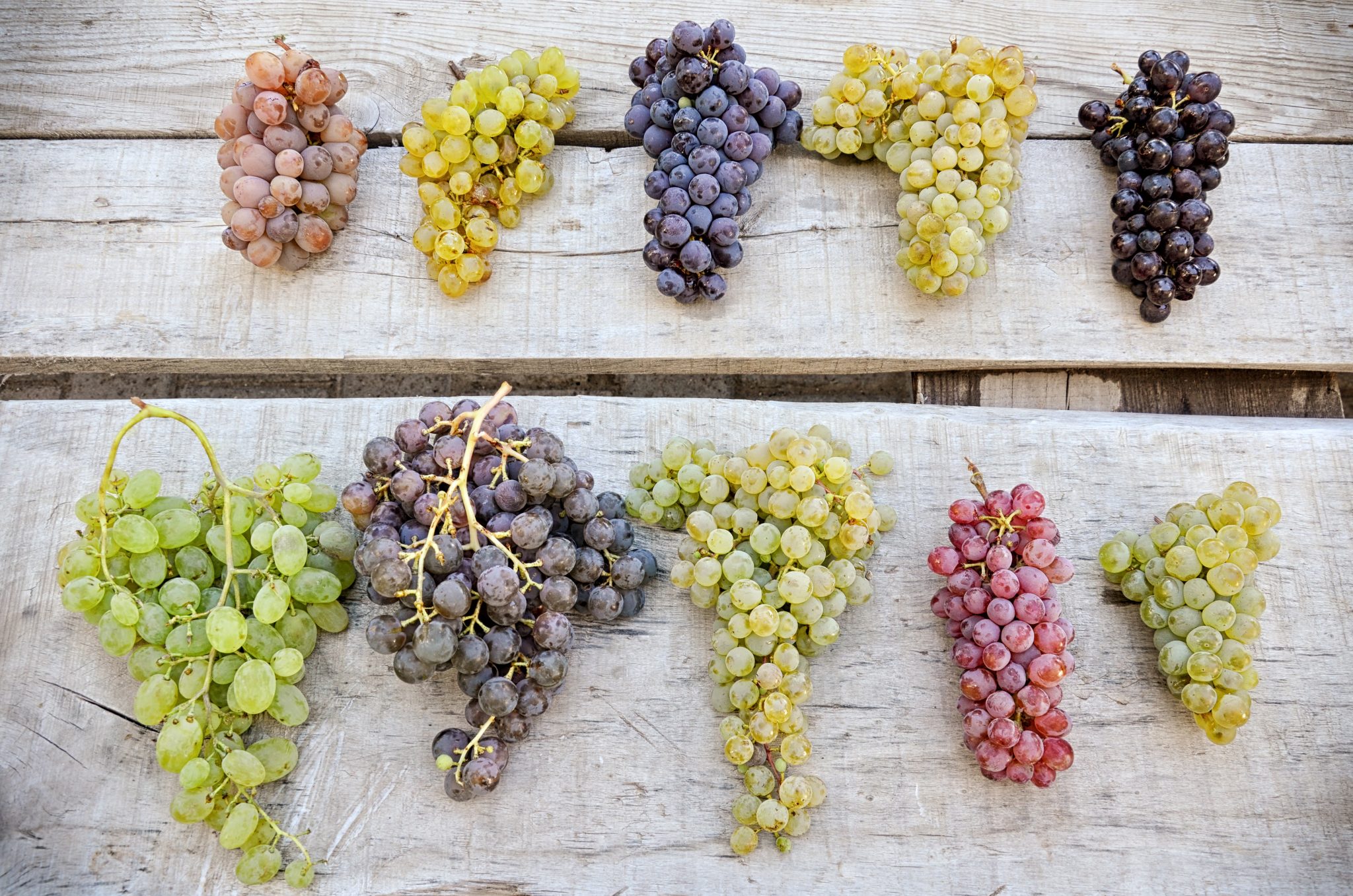What Are Grapes? Everything You Need To Know