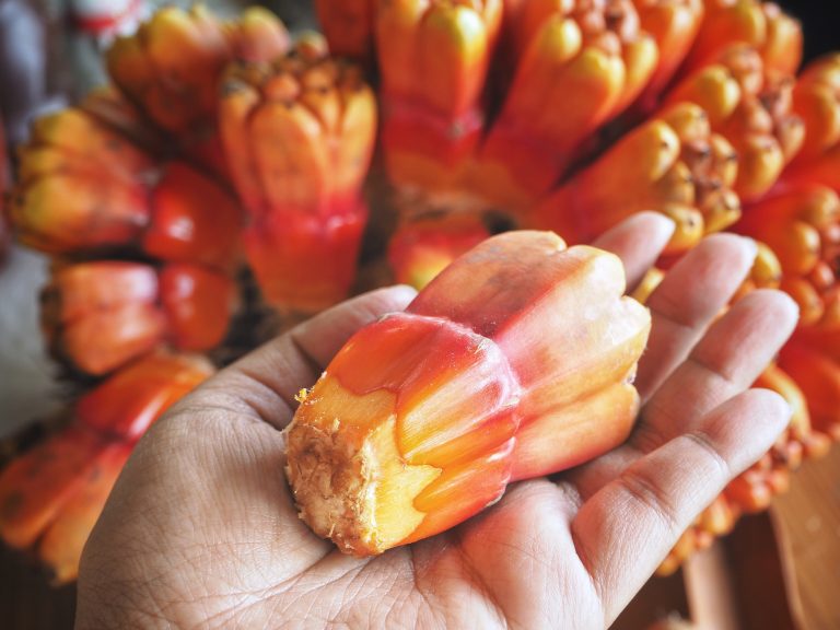 Hala Fruit: The Mysterious Fruit Of The Pacific