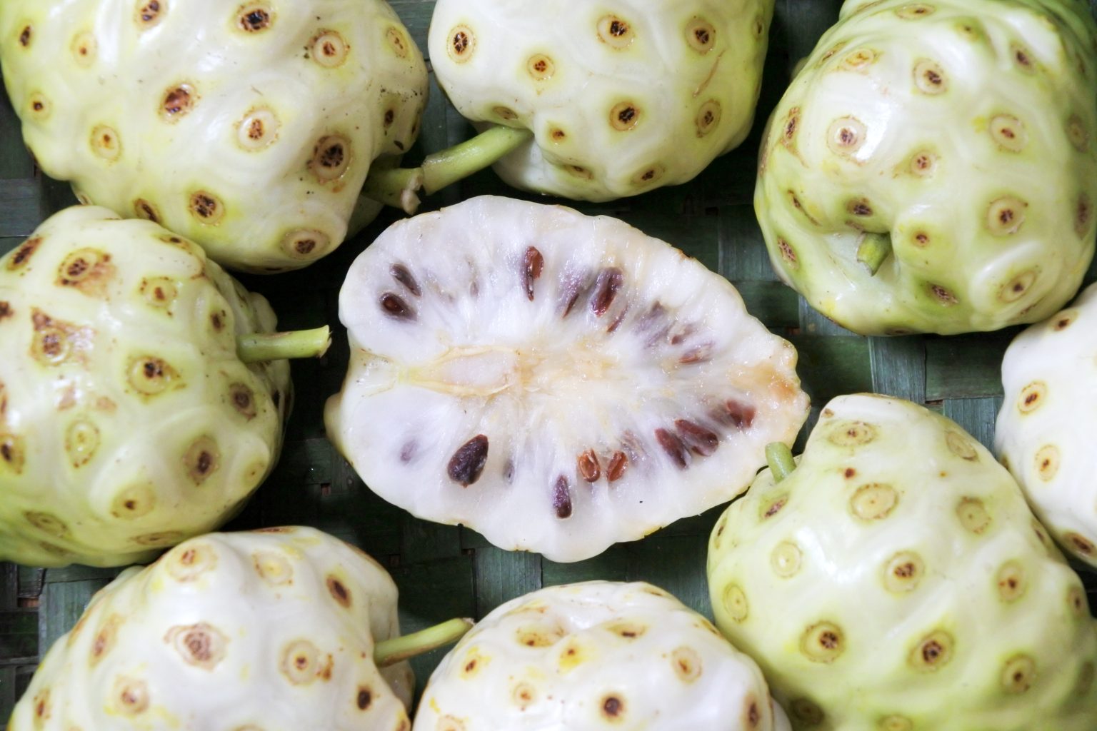 Noni Fruit: The Polynesian “Vomit Fruit” | Exotic Gourmand