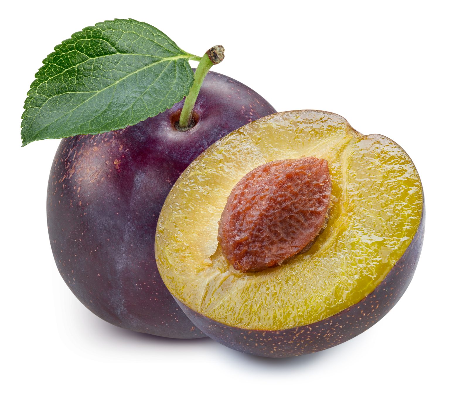 Damson Plums: The Spicy And Astringent Drupes