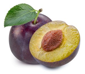Damson Plums: The Spicy And Astringent Drupes