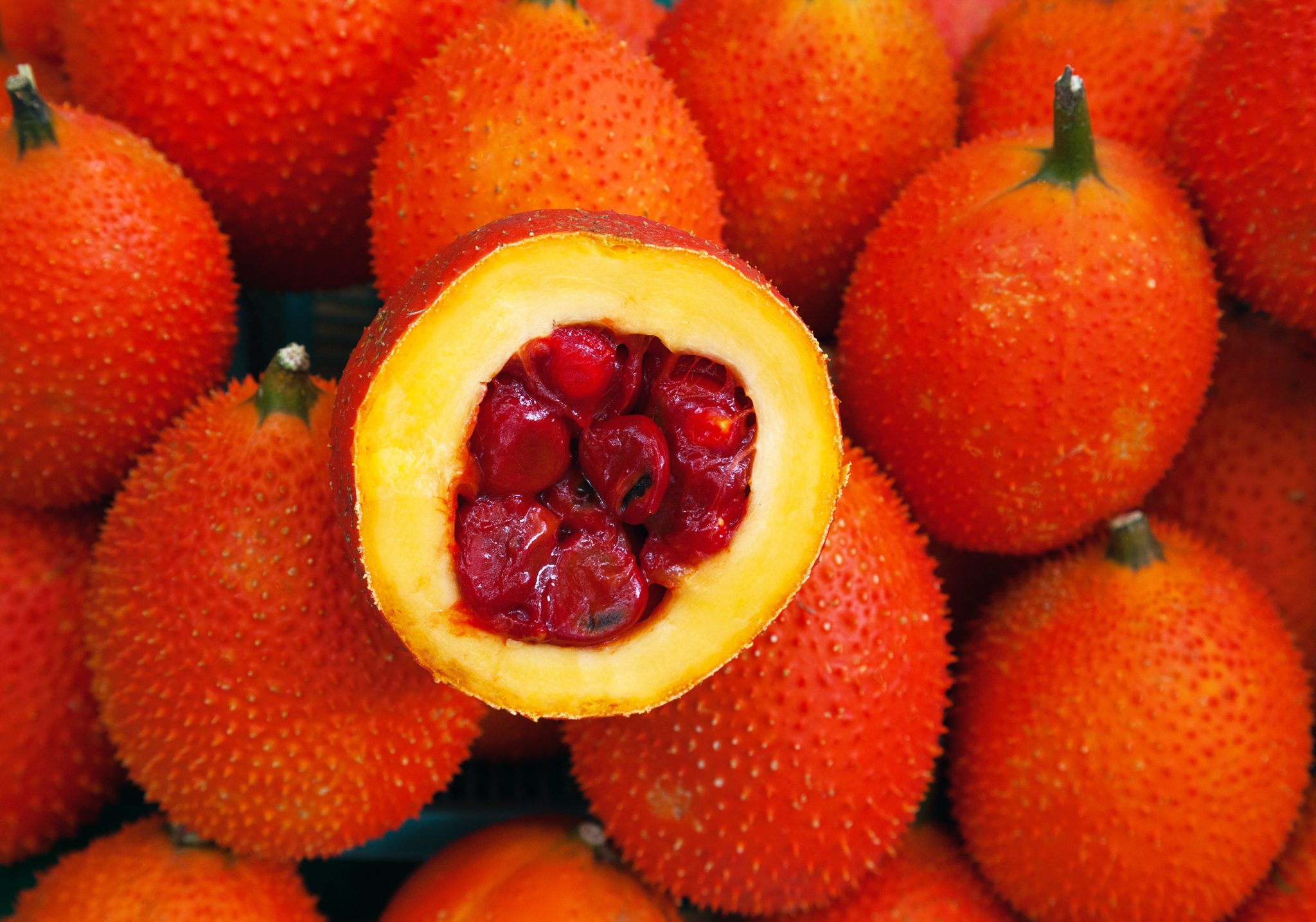 Gac: A Southeast Asian Super Melon | Exotic Gourmand