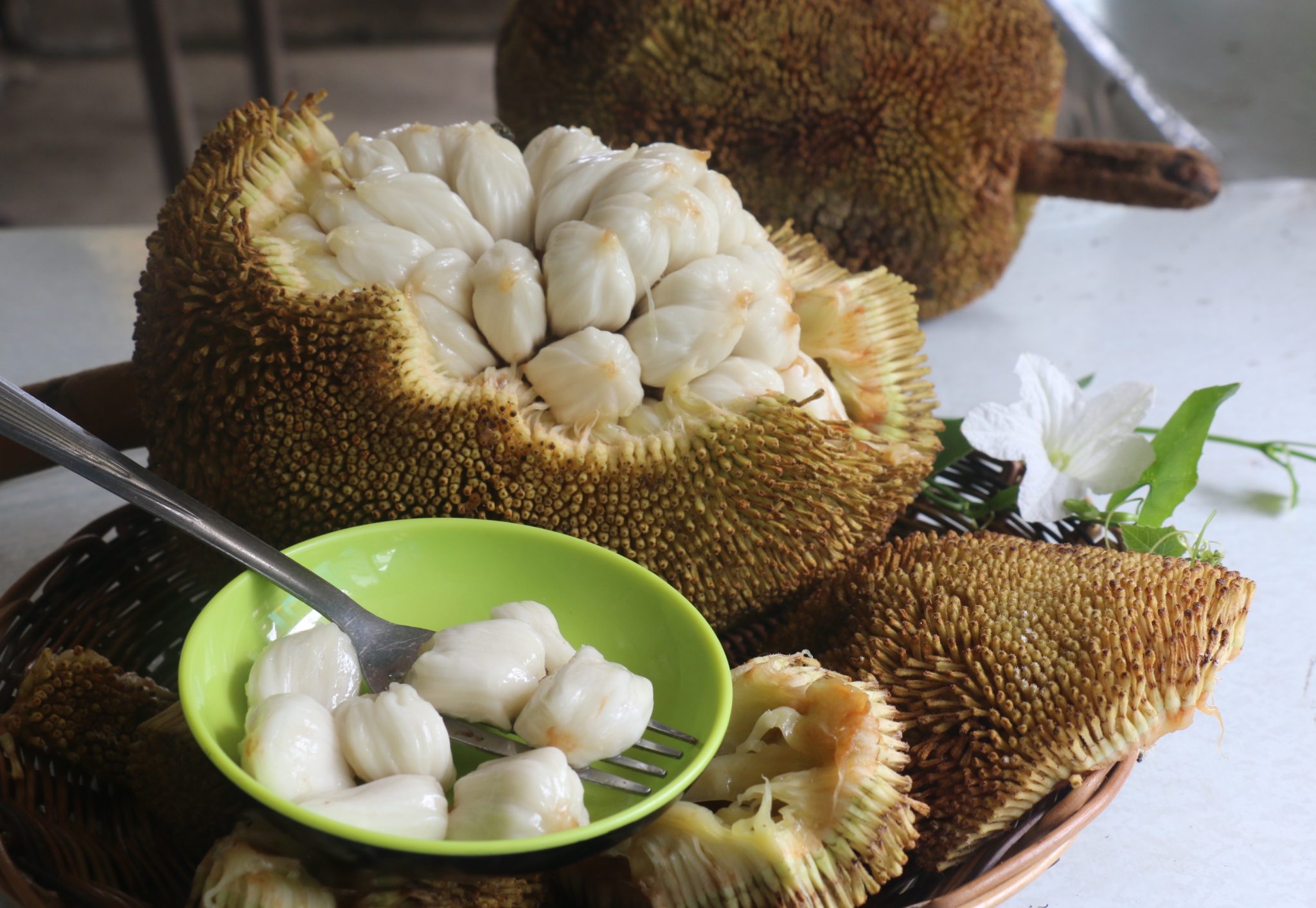 Marang: A Pungent But Delicious Tropical Fruit