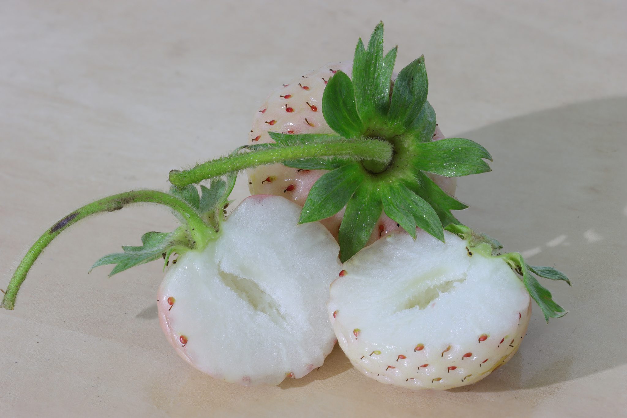 Pineberries: Strawberry's Tropical Cousin | Exotic Gourmand
