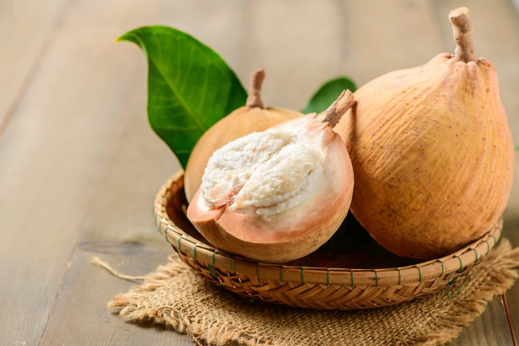 Santol Fruit: A Favorite From The Malay Archipelago