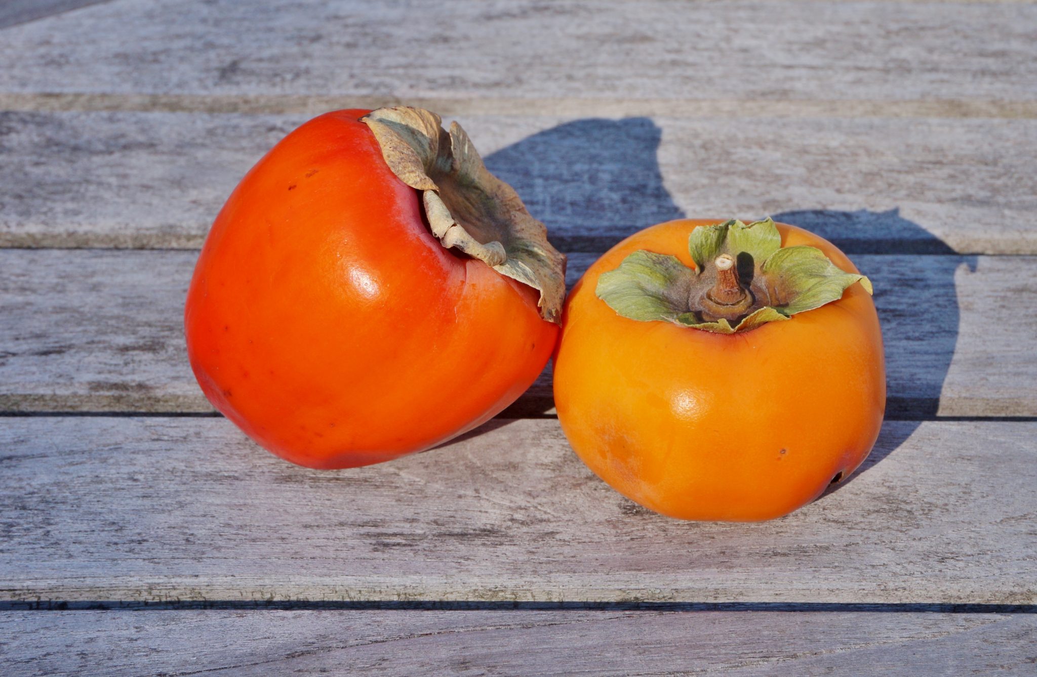 What Are Persimmons? | Exotic Gourmand