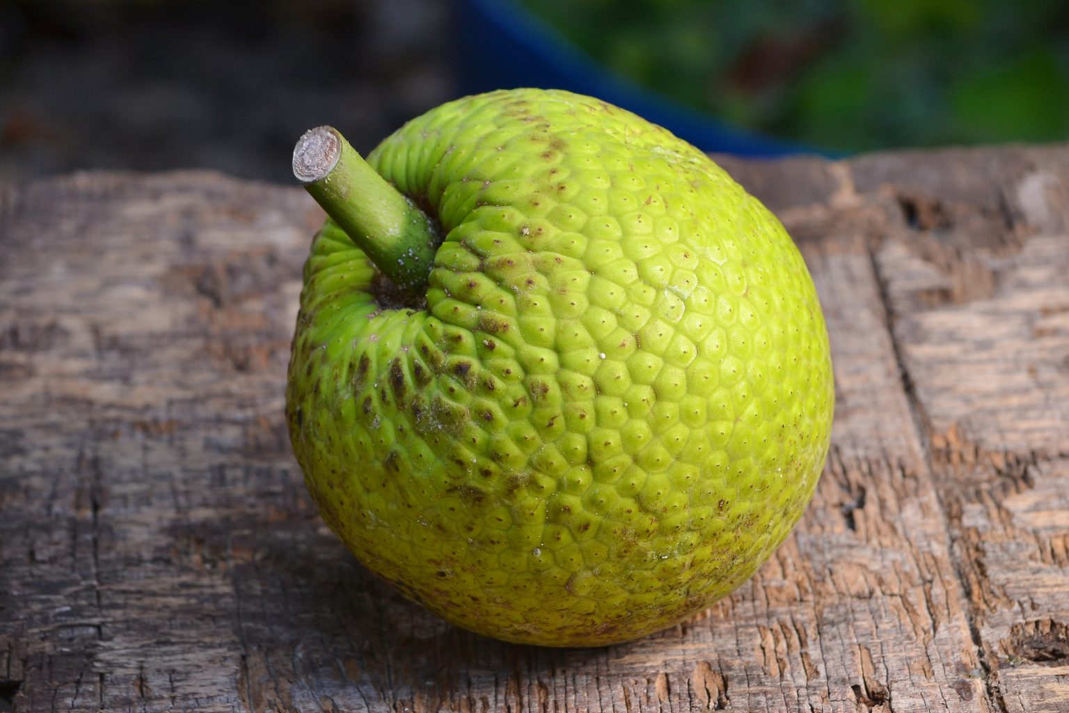 Breadfruit: The Starchy Caribbean Fruit | Exotic Gourmand
