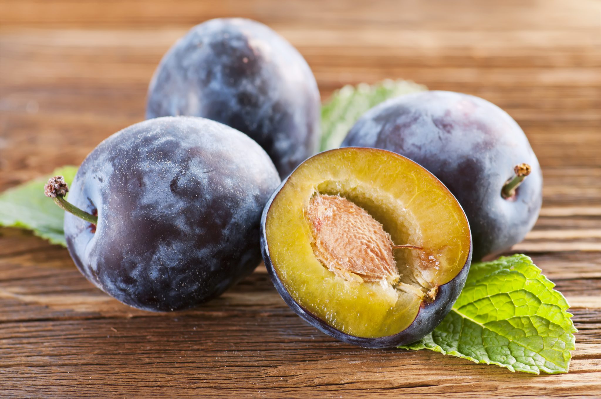 Damson Plums: The Spicy And Astringent Drupes